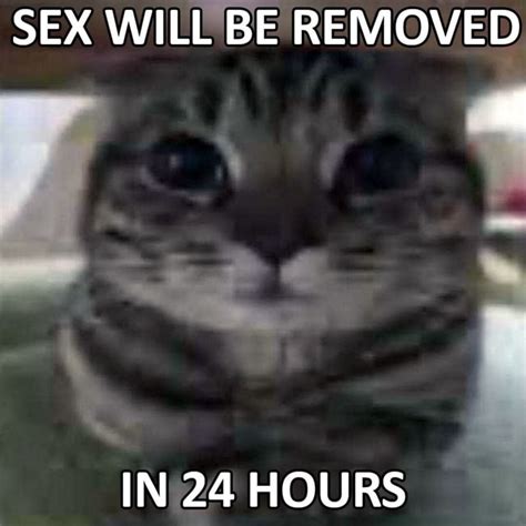 SEX WILL BE REMOVED IN 24 HOURS IFunny