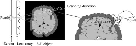 Fast Rendering Algorithm For Iv Of Organ Download Scientific Diagram