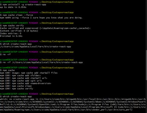 Reactjs I Cannot Create React App Using The Instructions Provided
