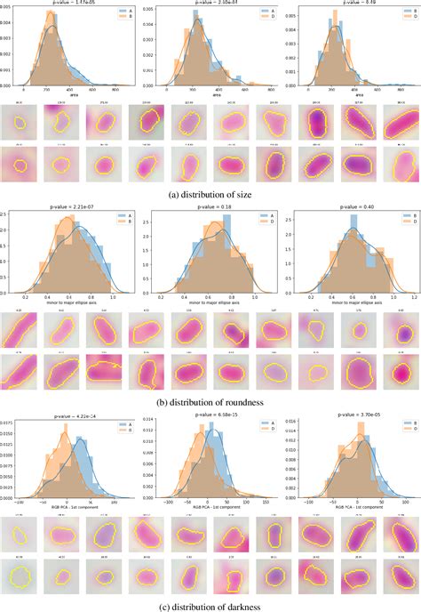 Figure 11 From Classifying Bacteria Clones Using Attention Based Deep Multiple Instance Learning