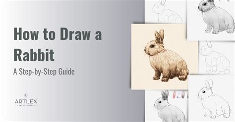 Draw Rabbit Easy Steps Sale Online Emergencydentistry Com