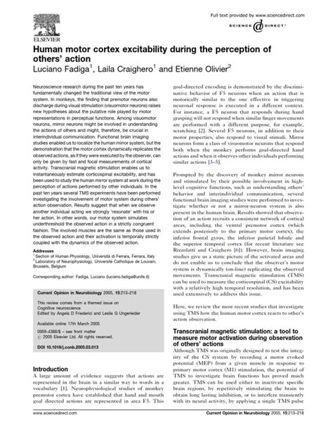 pdf human motor cortex dokumen tips