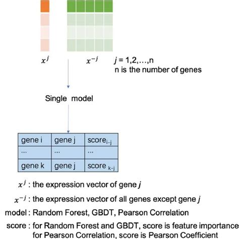 Feature Matrix Of Gene Pairs It S An Example Of Feature Matrix Whose Download Scientific