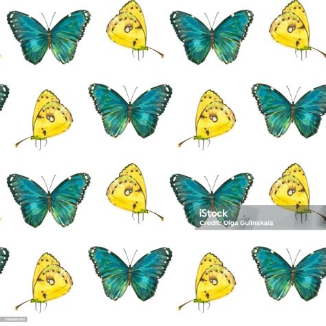 흰색 배경에 수채화로 손으로 그린 수채화 나비의 매끄러운 패턴 직물 인쇄 초대장 스크랩북에 적합합니다 가벼운에 대한 스톡 벡터 아트 및 기타 이미지 Istock