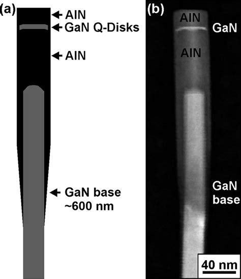 A Schematic Structure And B Stem Haadf Image Of An Individual Gan