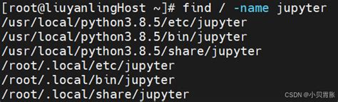 Linux系统远程连接jupyterliunx Jupyter远程访问 Csdn博客