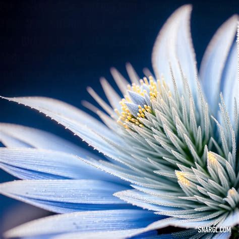 Ral 5026 Color Overview Examples And Compatibility Article 5026 Ral 5026 Color Overview Examples And Compatibility Article 5026