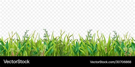 Realistic Green Grass Border Royalty Free Vector Image