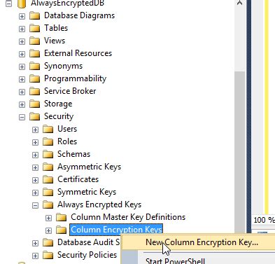 New Features In SQL Server Always Encrypted