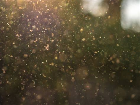 Abcs Of Particulate Matter Explained