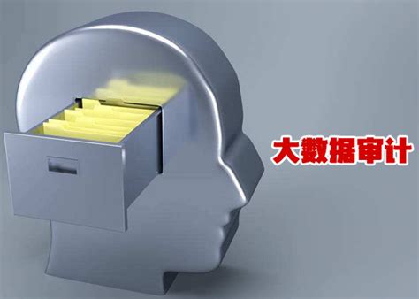 大数据技术将充分发挥审计工作的抵御和预防功能 海量