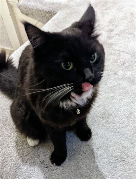 Small Girl Does A Small Mlem Rmlem