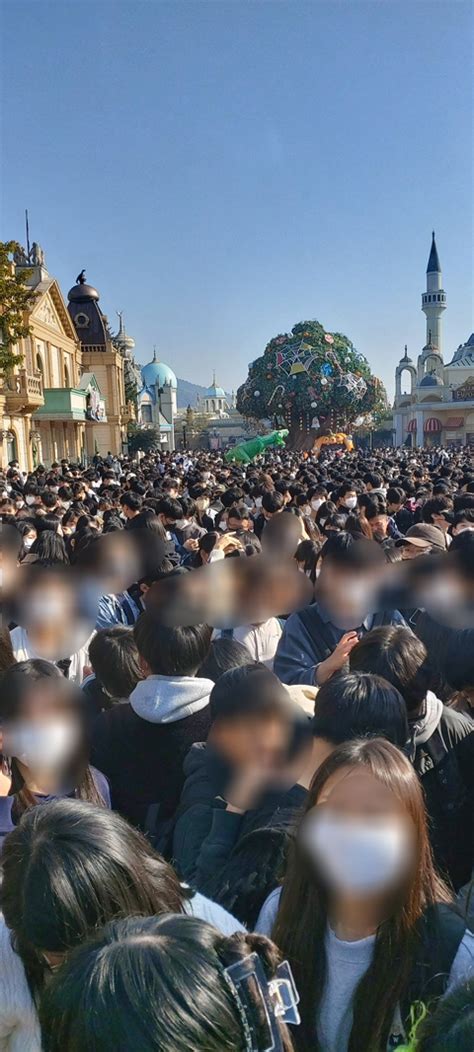 개발자 커뮤니티 현재 실시간 에버랜드