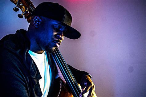 Daniel Casimir On The Making Of Boxed In Reverb News