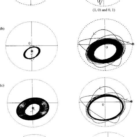 Whirl Orbit Of The Rotor In Dierent Speeds And From Dierent Initial