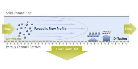 Separation And Analysis Of Nano Geochemical Systems Lab Manager