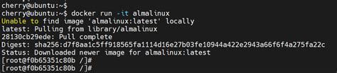 How To Install Docker On Ubuntu Cherry Servers