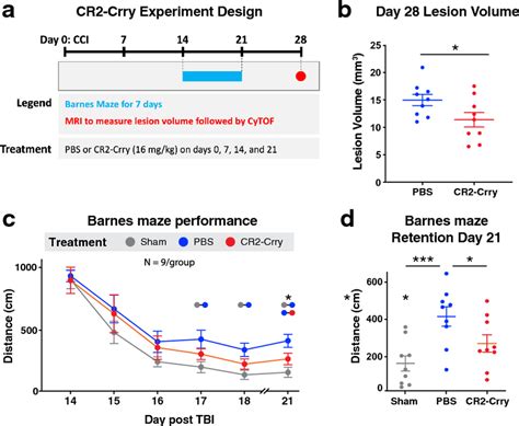 Complement Inhibition Improves Histological And Cognitive Outcomes A