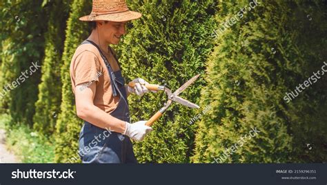 커드 절단 135 137개가 넘는 로열티 프리 라이선스 대상 스톡 사진 Shutterstock