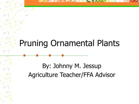 PPT Pruning Ornamental Plants PowerPoint Presentation Free Download ID 684338
