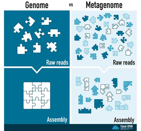 Metagenome Assembly Qc And Assembly