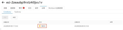 使用coredump分析实例程序异常 弹性容器实例 ECI 阿里云帮助中心
