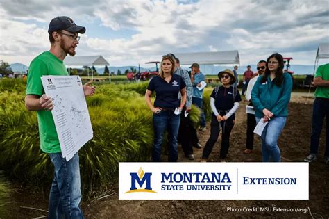 Msu Extension Field Days Set For June