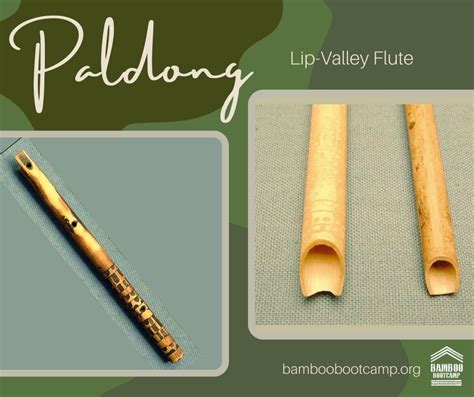 Example Of Bamboo Instrument In Mindanao At Sue Alexander Blog