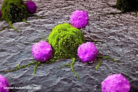 Stephanie Bargo Stephaniebargo Twitter