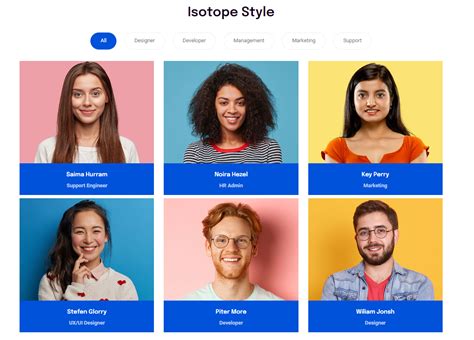 ultimate team showcase wordpress plugin