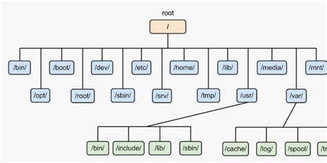 Managing Files From The Command Line Dev Community