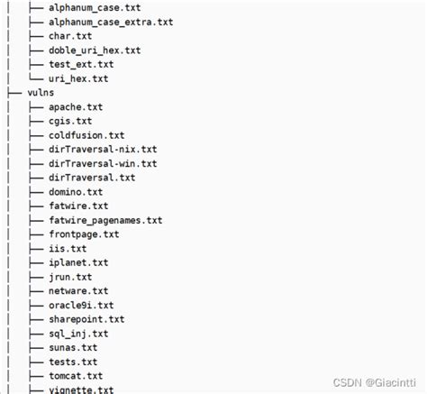 Wfuzz：功能强大的web漏洞挖掘工具 Csdn博客