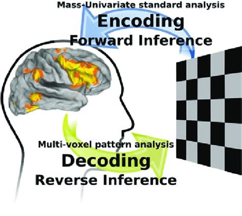 Schematic Depiction Of The Distinction Between Encoding And Decoding Download Scientific
