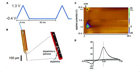 Fast Scan Cyclic Voltammetry In Dopamine Detection Schematic Of Fscv