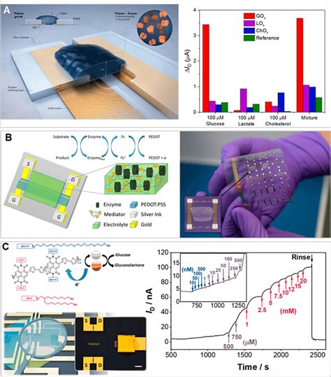 Oects As Metabolite Sensors A Schematic Illustration Of An Oect
