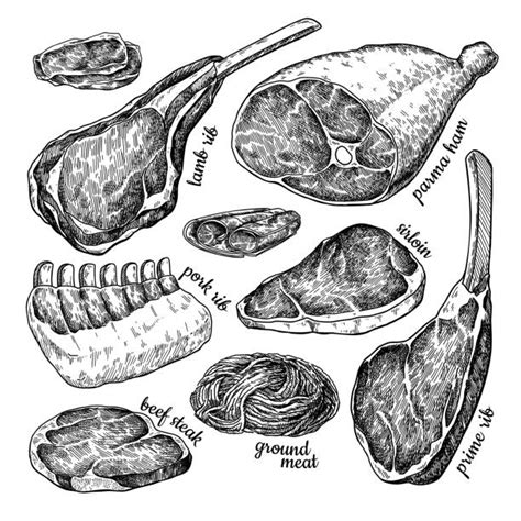 Meat Meat Drawing Drawing Set Food Drawing Lamb Ribs Beef Ribs Beef Steak Meat Stock