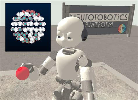 The Neurorobotics Platform Will Help Us To Connect Our Brain Model Of The Peripersonal Space To