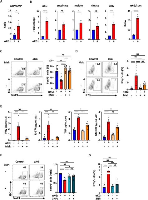 Macs Cd4 T Cell Negative Selection Kit Miltenyi Biotec Bioz