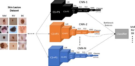 Ensemble Cnn Approach For Skin Lesion Classification Download Scientific Diagram