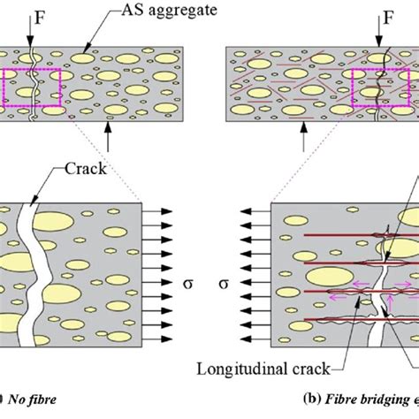 Schematic Diagram Of Fibre Bridging Effect Download Scientific Diagram