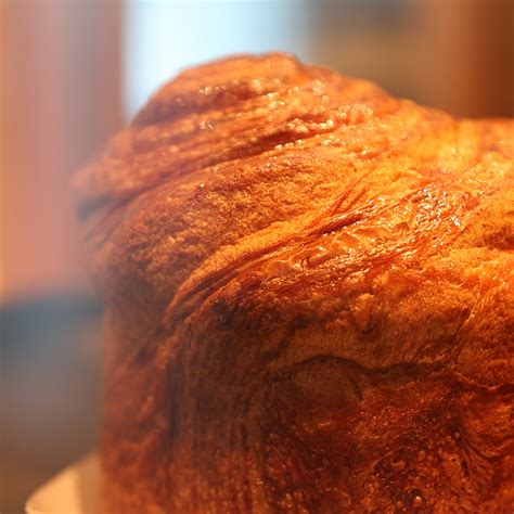 몽블랑 Datzdotz 다츠도츠