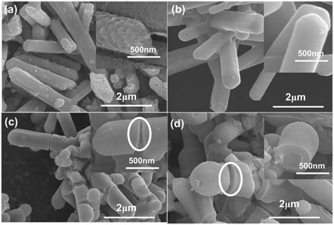 Morphology Of The As Prepared VO TiO Core Shell Nanoparticles SEM Download Scientific