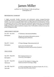 How To Construct A Cv Templates PROFESSIONAL TEMPLATES PROFESSIONAL TEMPLATES