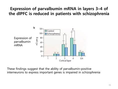 Abnormal Neural Oscillations And Synchrony In Schizophrenia Ppt