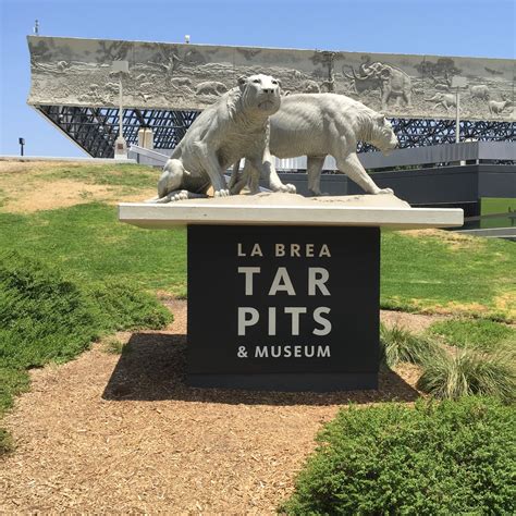 Chadwicks Picture Place La Brea Tar Pits