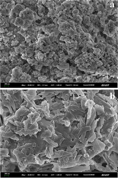 SEM Images Of A CaO Powder And B NOC Download Scientific Diagram