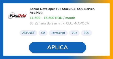senior developer full stack c sql server asp [💰 11 500 16 500