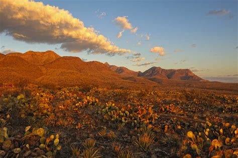 Günstige Flüge nach El Paso finden auf CheapTickets.de