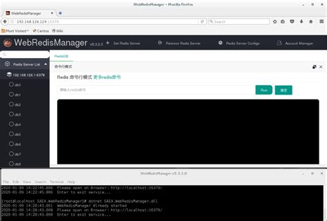 一个net开发的web版redis管理工具webredismanager 董川民