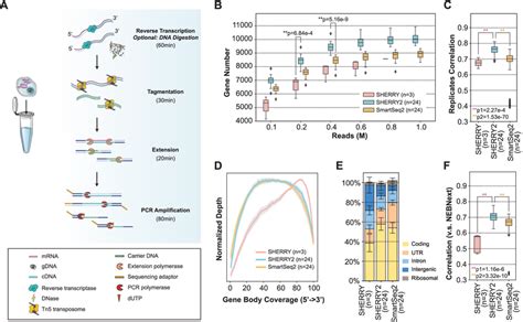 The Workflow And General Performance Of Sherry2 On Single Cell Rna Seq Download Scientific